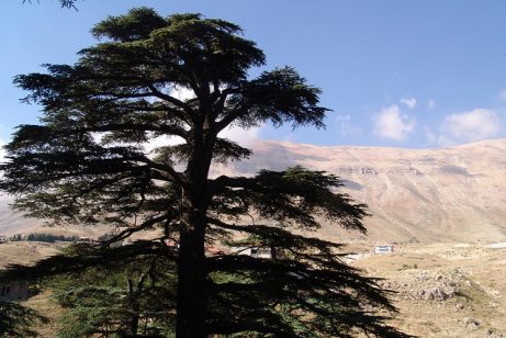 El Líbano, recorremos un paraíso desértico - Mi Viaje