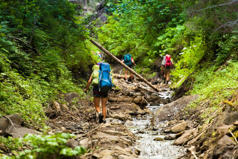 Trucos imprescindibles para ir de viaje a la montaña - Mi Viaje