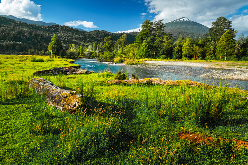 Parque Nacional Hornopirén: conoce un sitio paradisíaco – Mi Viaje